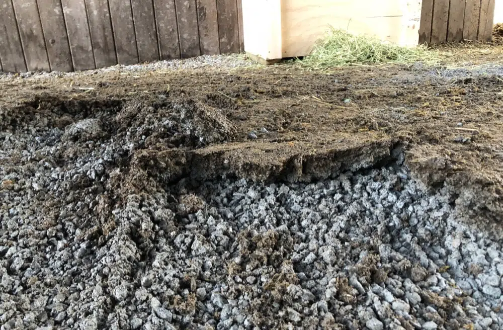 Best Paddock Surface Footing for Rainy Climate | Listen To Your Horse