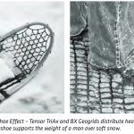 snowshoe-effect | Listen To Your Horse