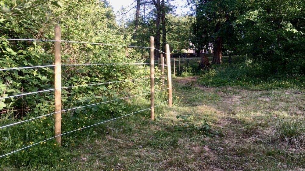 Fencing Pros and Cons & The Best Horse Fence | Listen To Your Horse