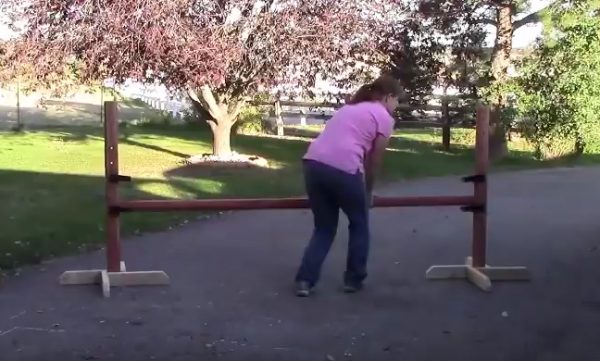 Creative Ways To Make Your Own Horse Jumps | Listen To Your Horse