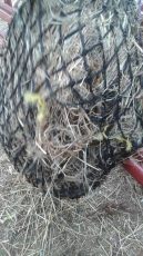 Different Ways to Hang and Load Hay Nets | Listen To Your Horse