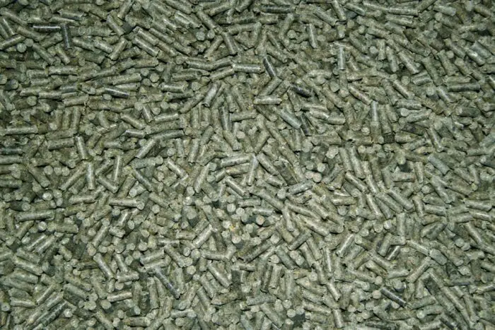 How To Soak & Feed Alfalfa, Timothy or Grass Pellets | Listen To Your Horse