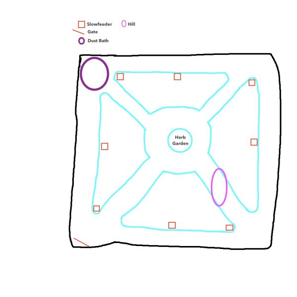 Windy Day with Frisky Mustangs! | Listen To Your Horse