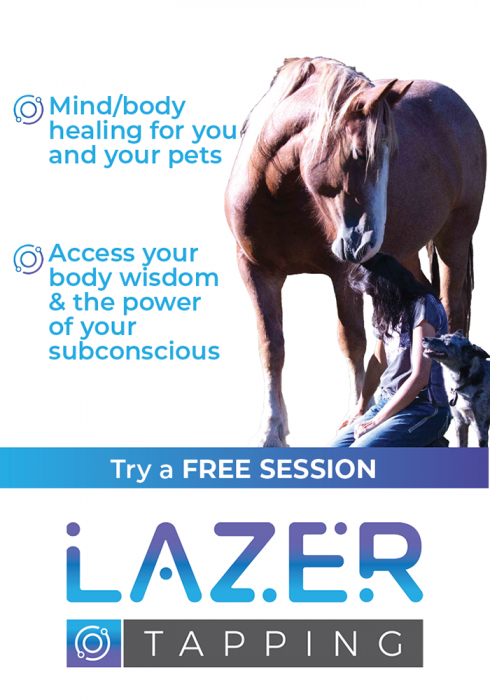 Super Easy Sheath Cleaning for Geldings - BUT Should You? | Listen To ...