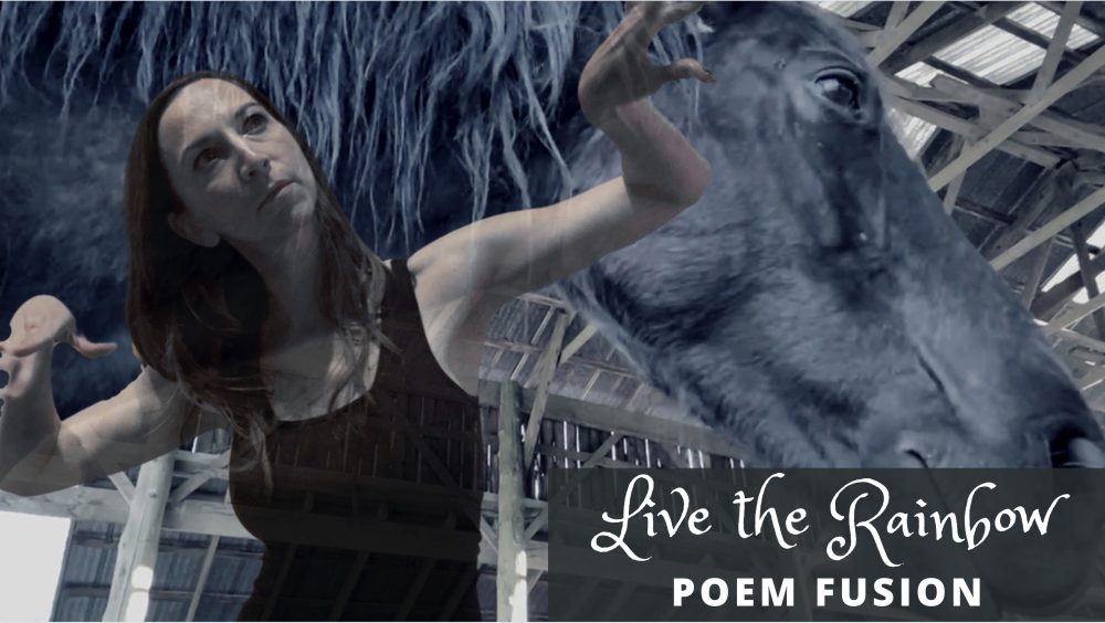 Live the Rainbow - Fusion Poem - Listen To Your Horse