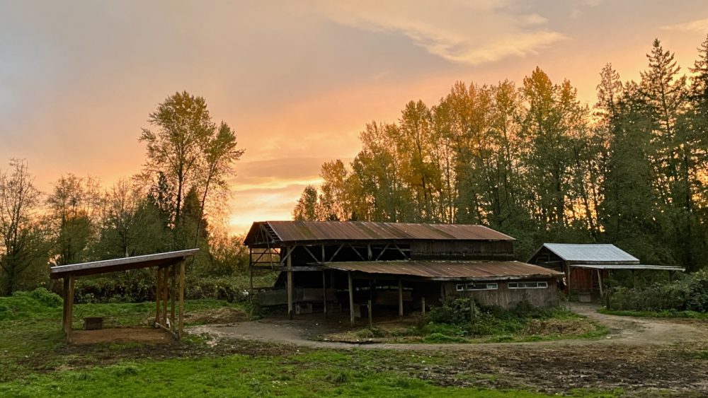 Paddock & Pasture Permaculture Setup for Rainy Climate - Listen To Your ...