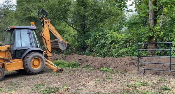 Paddock & Pasture Permaculture Setup for Rainy Climate | Listen To Your ...