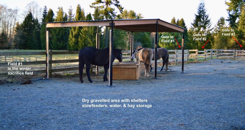 Paddock & Pasture Permaculture Setup for Rainy Climate - Listen To Your ...