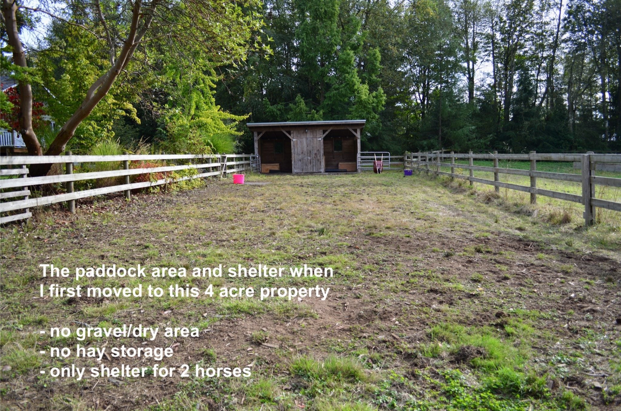 Paddock & Pasture Permaculture Setup for Rainy Climate | Listen To Your ...