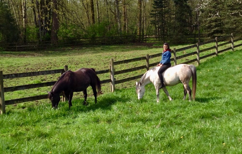 Paddock & Pasture Permaculture Setup for Rainy Climate | Listen To Your ...