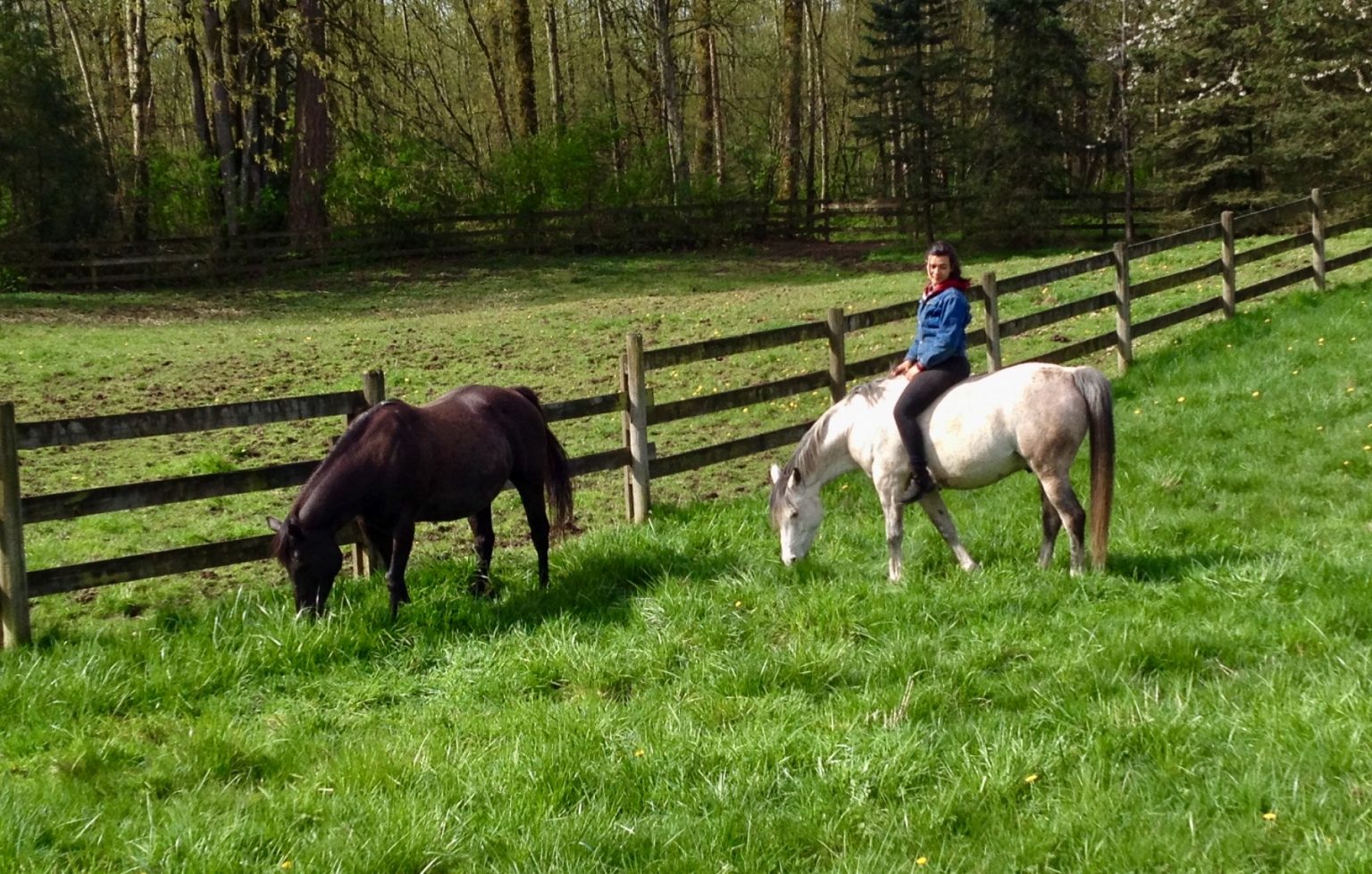 Paddock & Pasture Permaculture Setup for Rainy Climate | Listen To Your ...