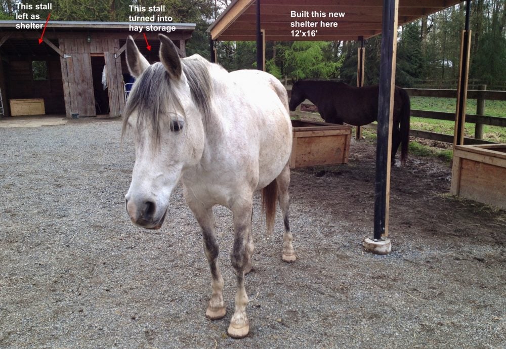 Paddock & Pasture Permaculture Setup for Rainy Climate | Listen To Your ...