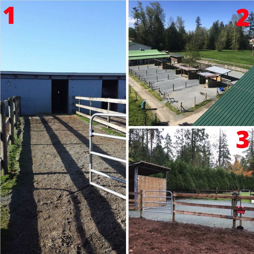 Paddock & Pasture Permaculture Setup for Rainy Climate - Listen To Your ...