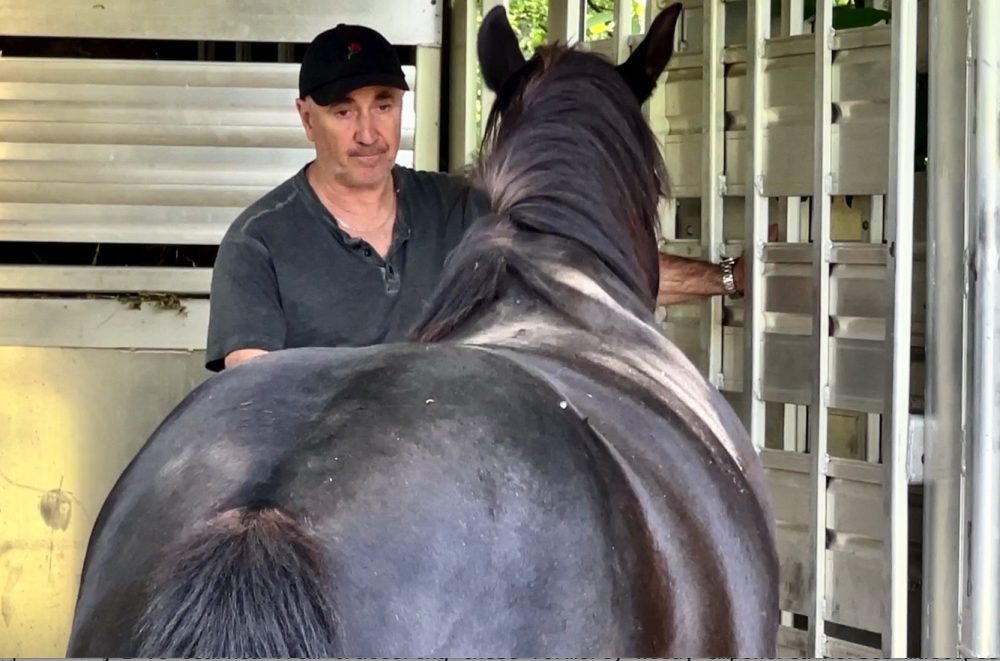 Kaliah’s Final Journey Part 1 - It Ain’t About The Trailer! - Listen To ...